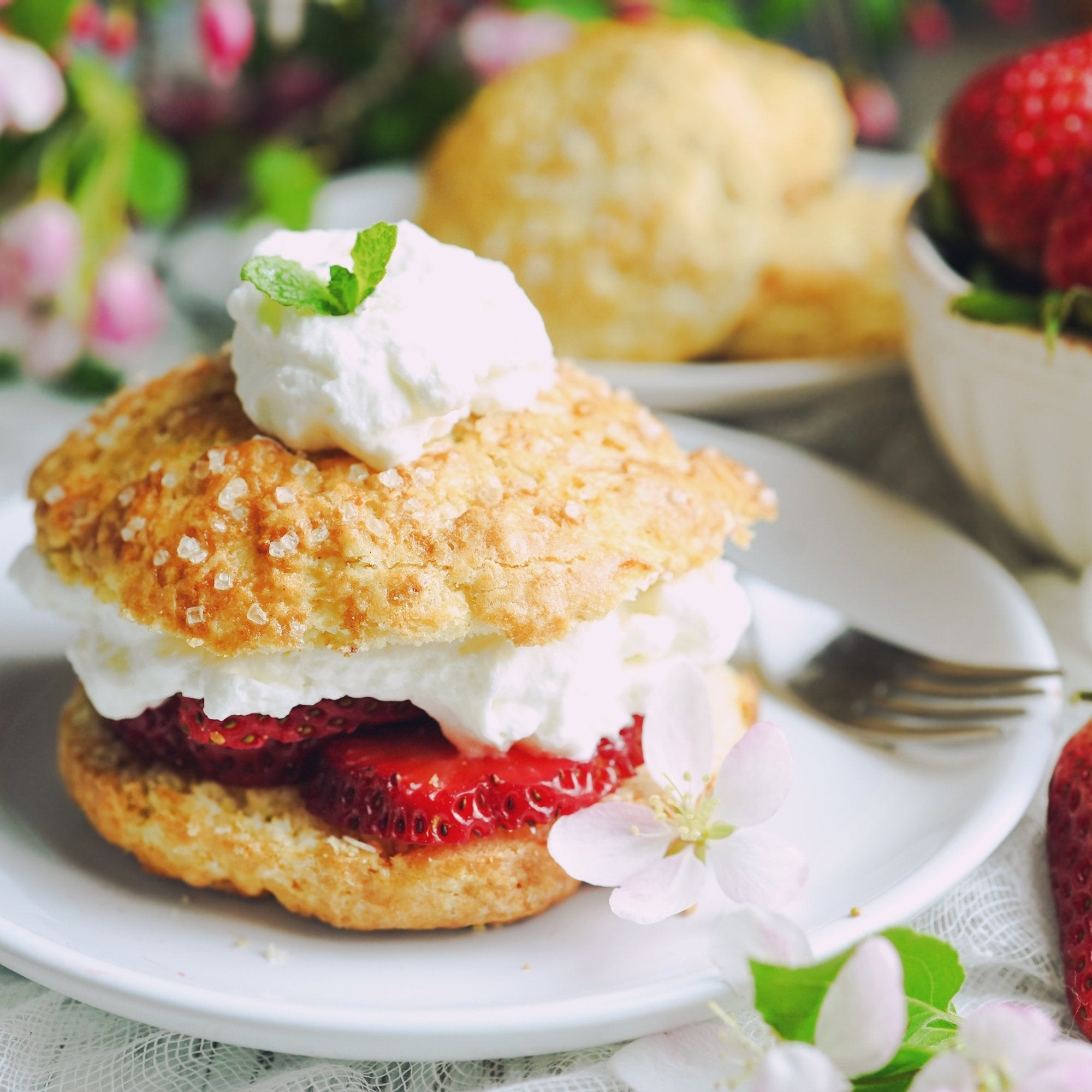 MINI STRAWBERRY SHORTCAKES – Kalorik.ca